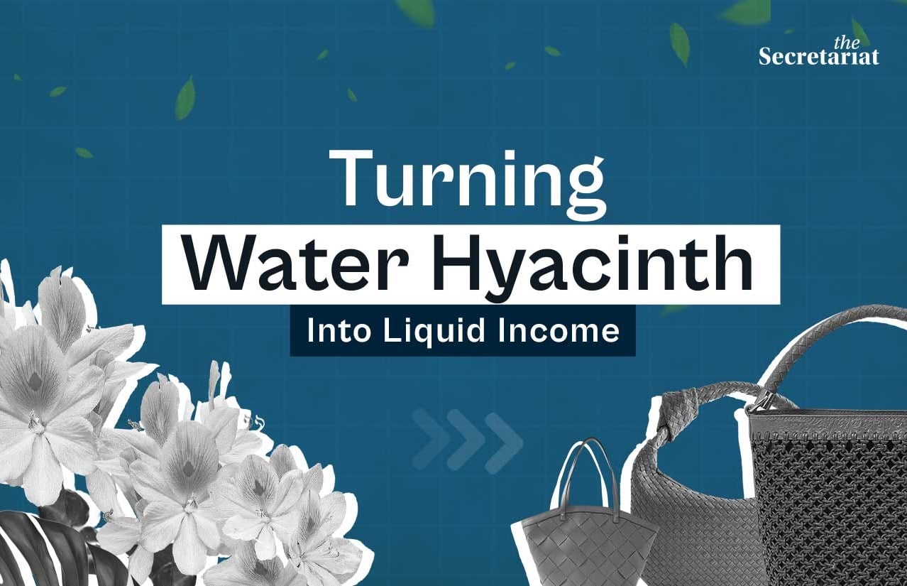 Kerala's Women Artisans Innovate with Water Hyacinth Amid Climate ...